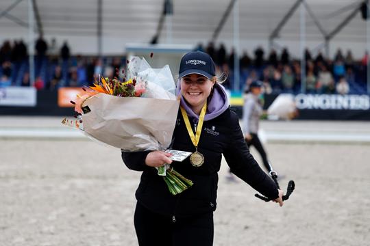 Elite dressage horses | Horses | Purchase of horses