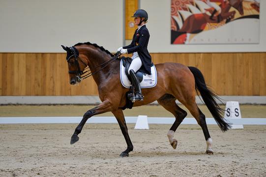 Riesenbeck International