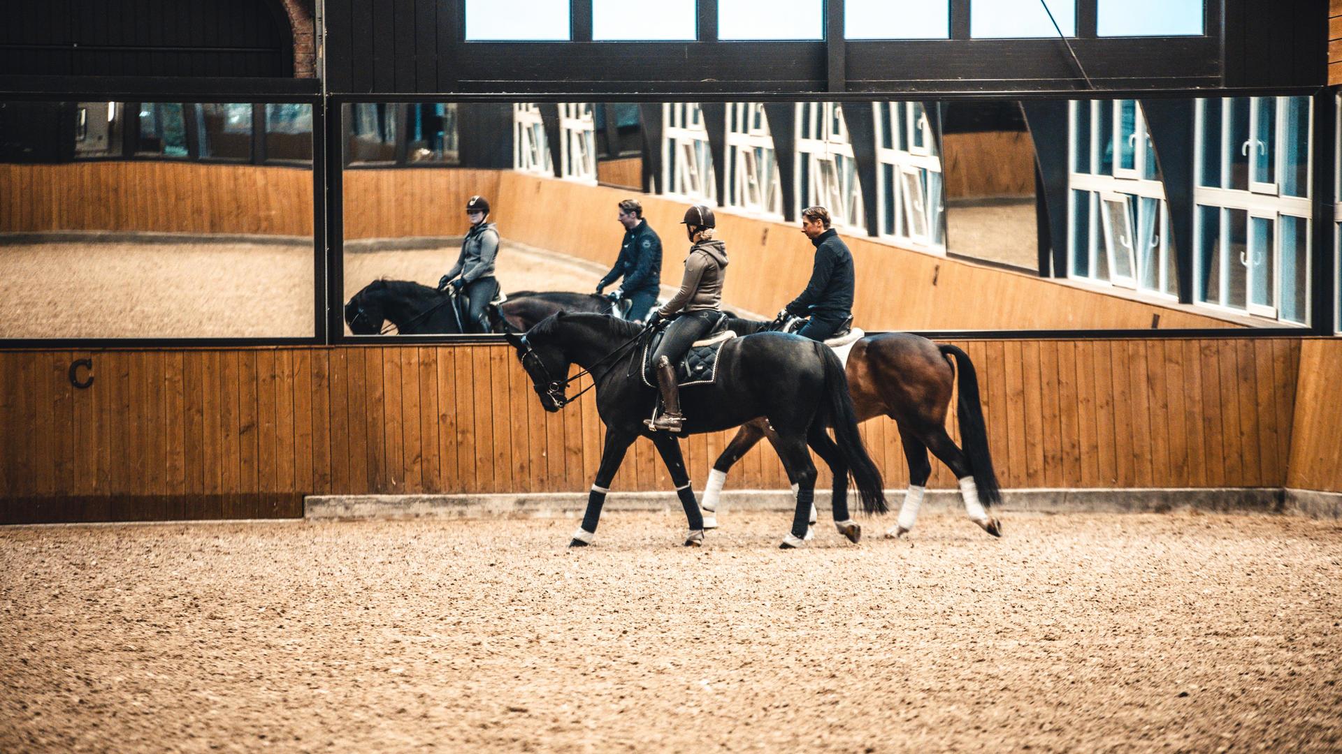 Global Equestrian Group - Whistleblower