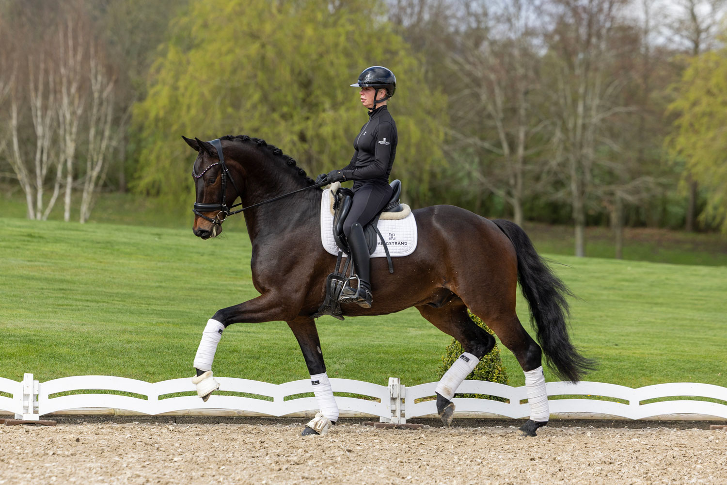 The World's most renowned sales and training centre for elite dressage ...