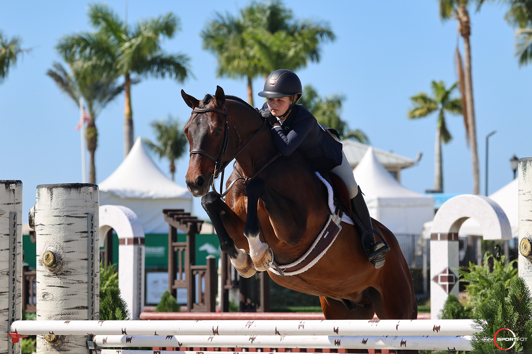 Events at Wellington International