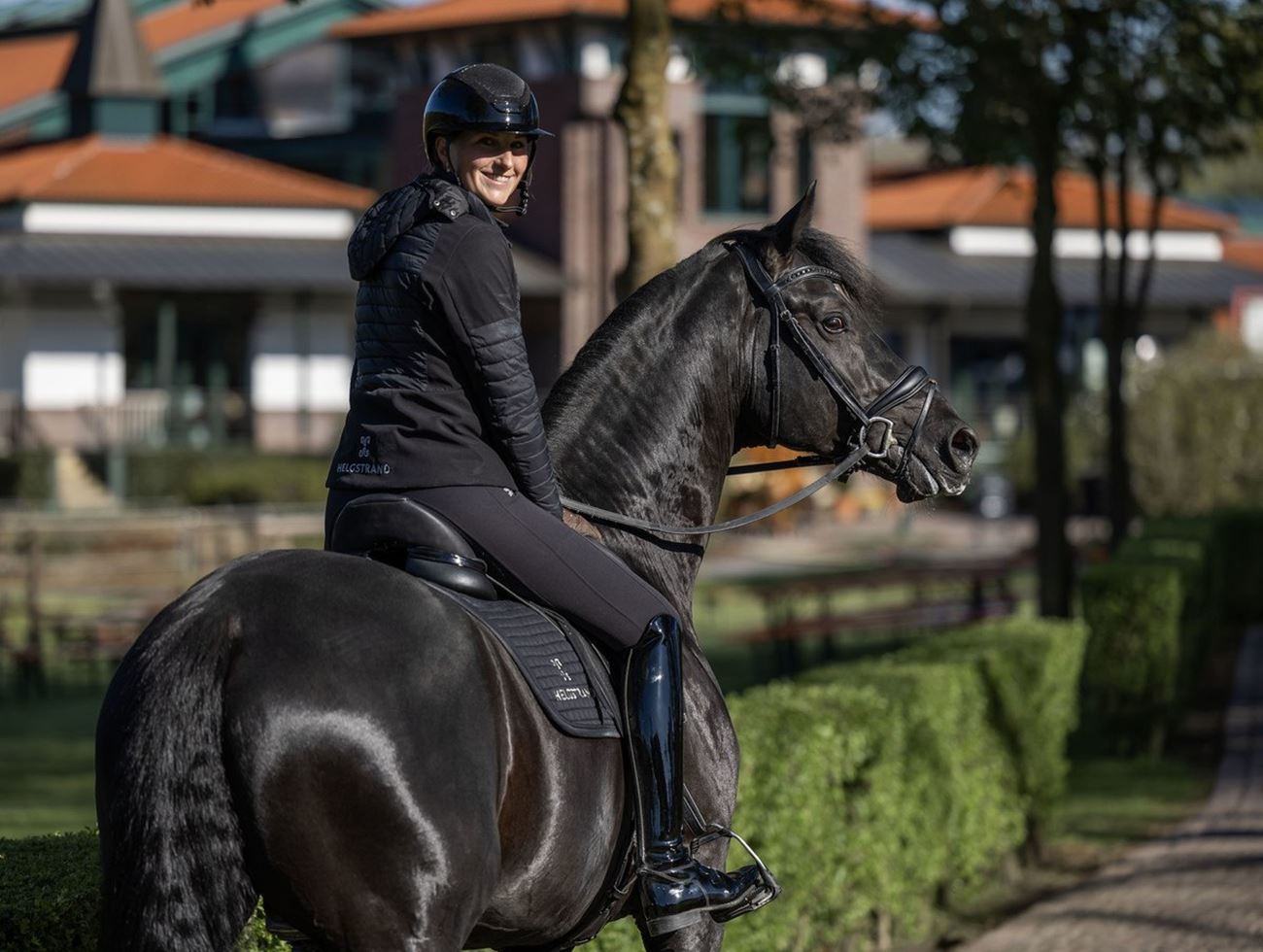 Helgstrand Germany | German breeding accosiation | Horses