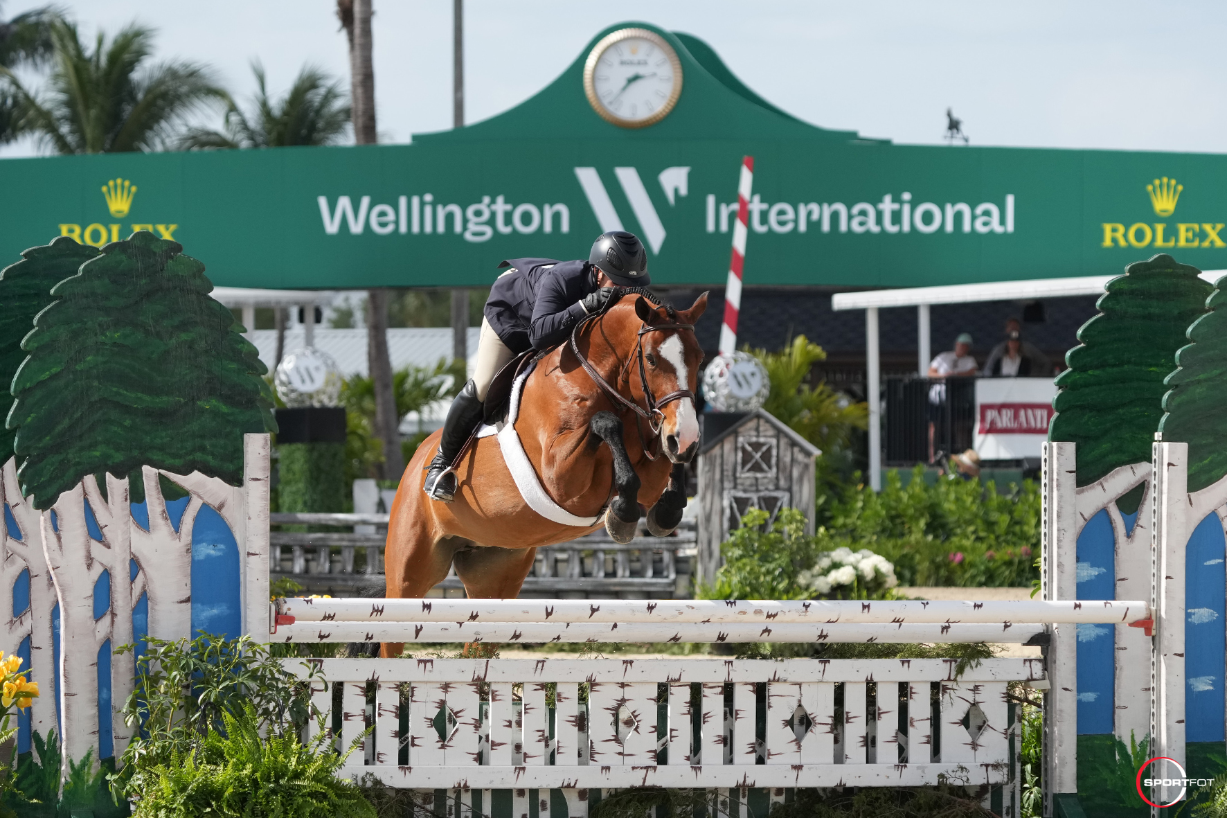 Hunters Take to International Ring During World Championship Hunter ...