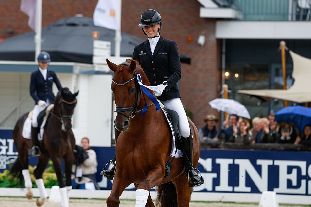 Helgstrand Germany | German breeding accosiation | Horses