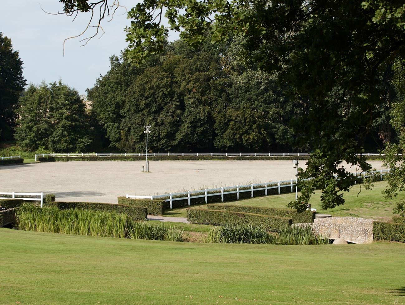 Helgstrand Germany | German breeding accosiation | Horses