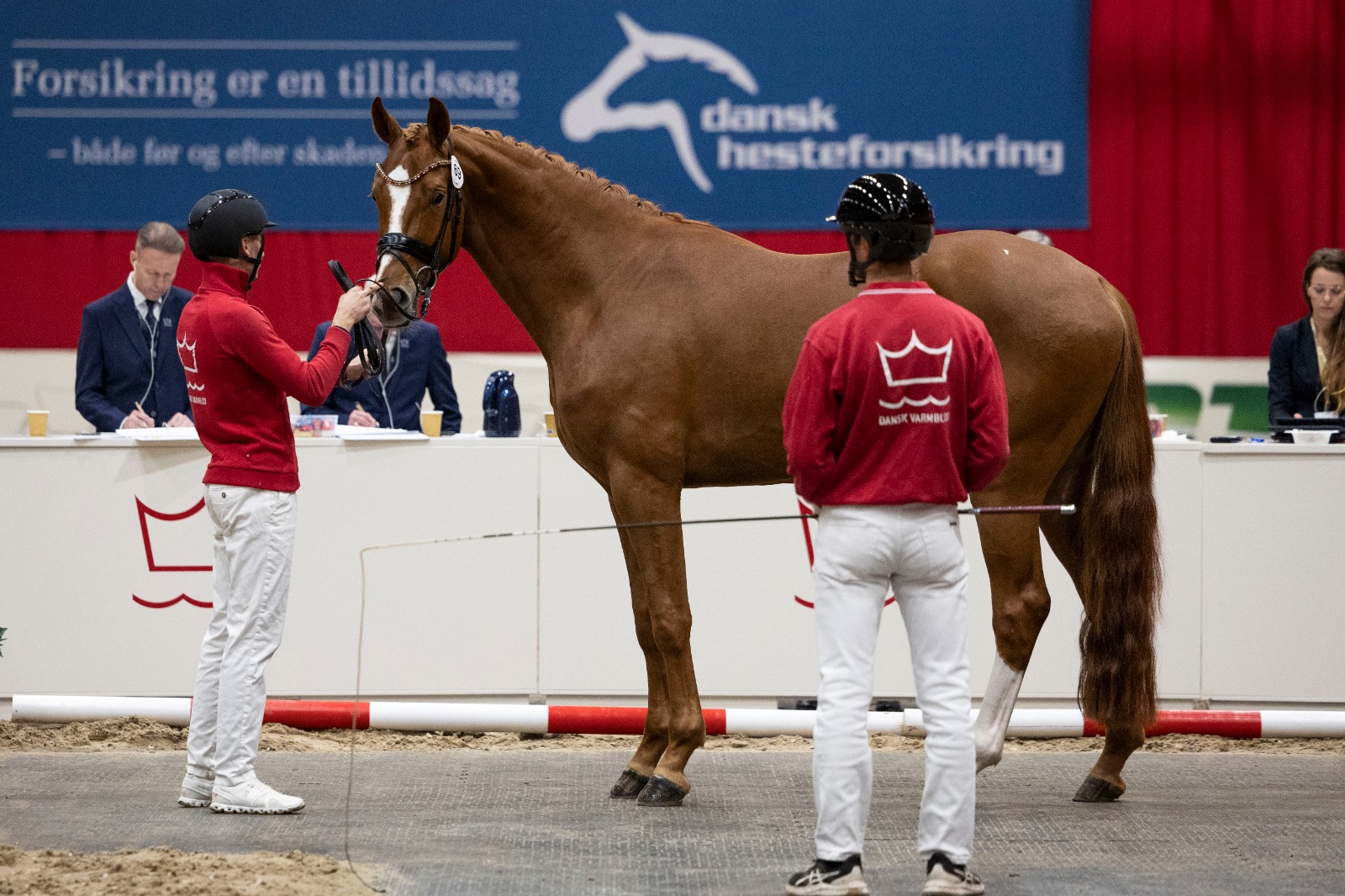 Subscribe to the newsletter | News about Helgstrand Dressage