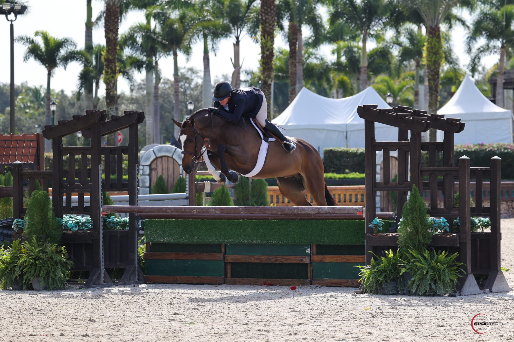 Wellington International | Home of The Winter Equestrian Festival