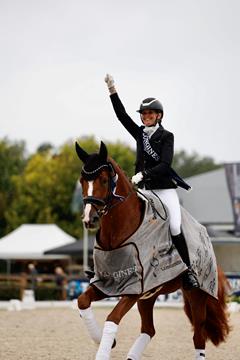 Elite dressage horses | Horses | Purchase of horses