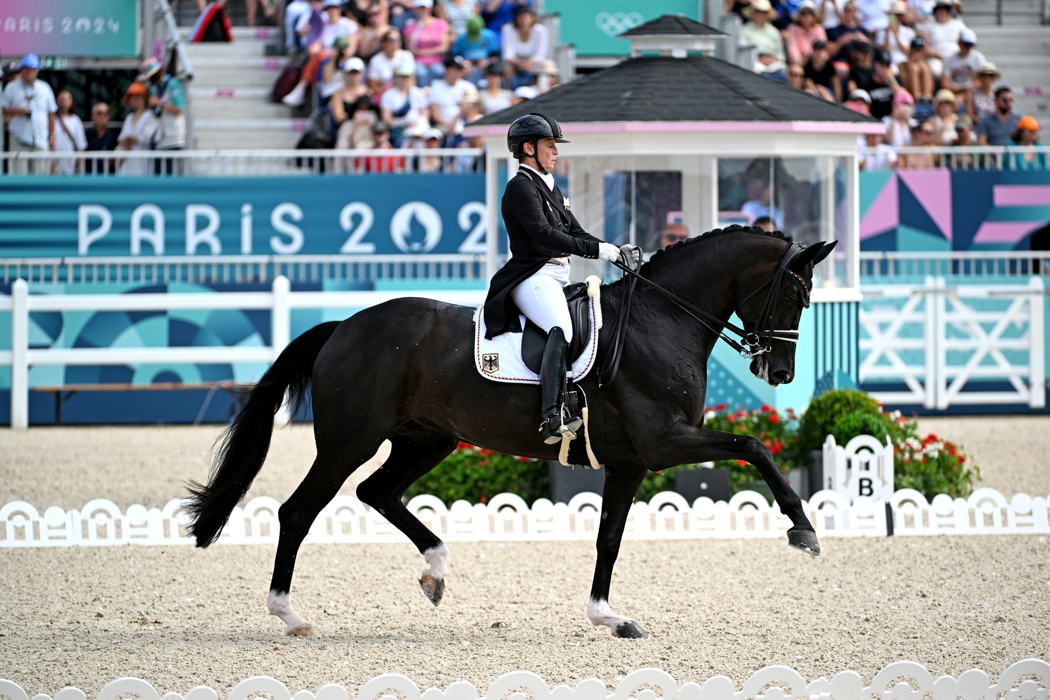 Helgstrand Dressage - Olympic Gold and Silver for Wendy & Isabell Werth