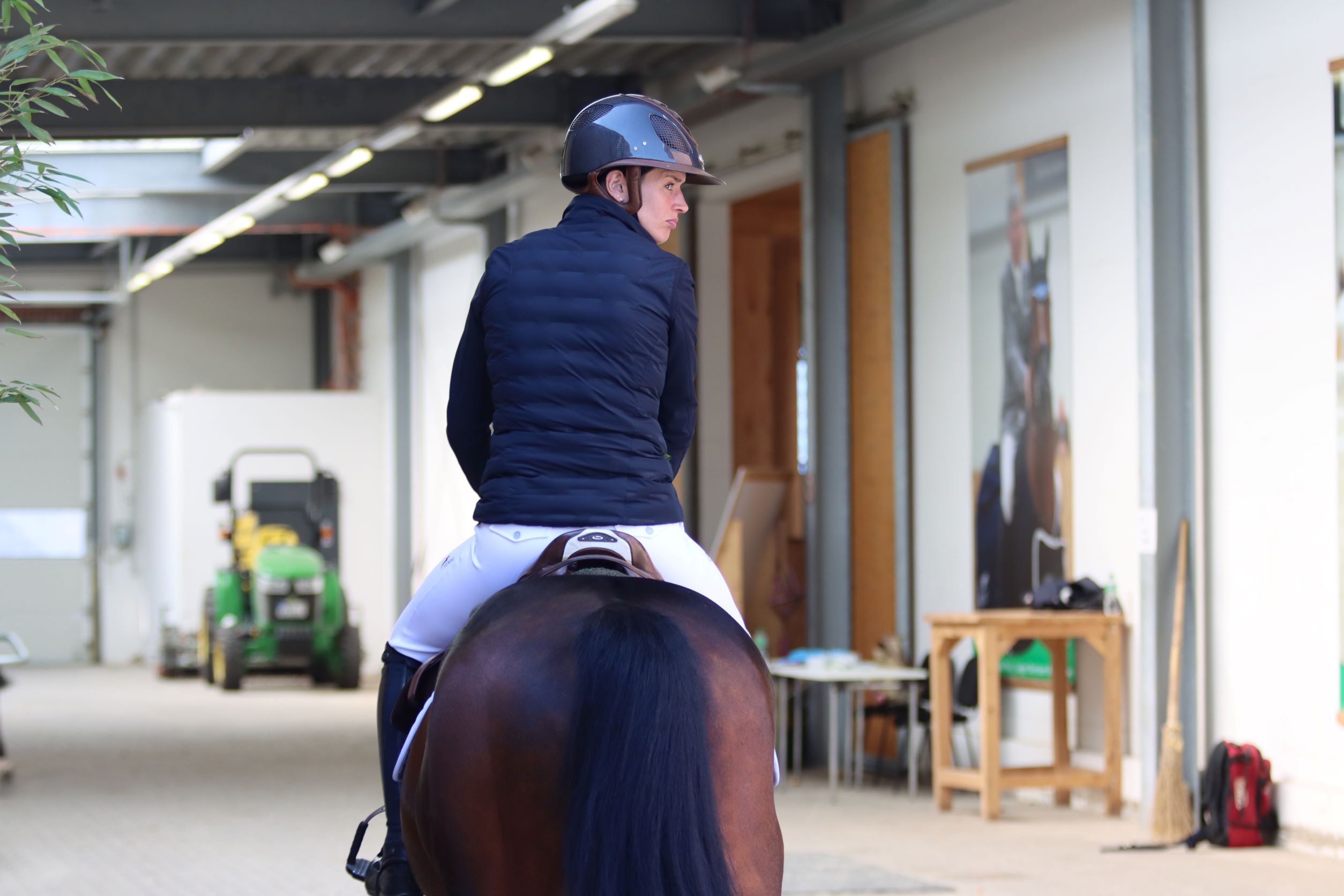 Riesenbeck International - First Clinic with Ludger Beerbaum