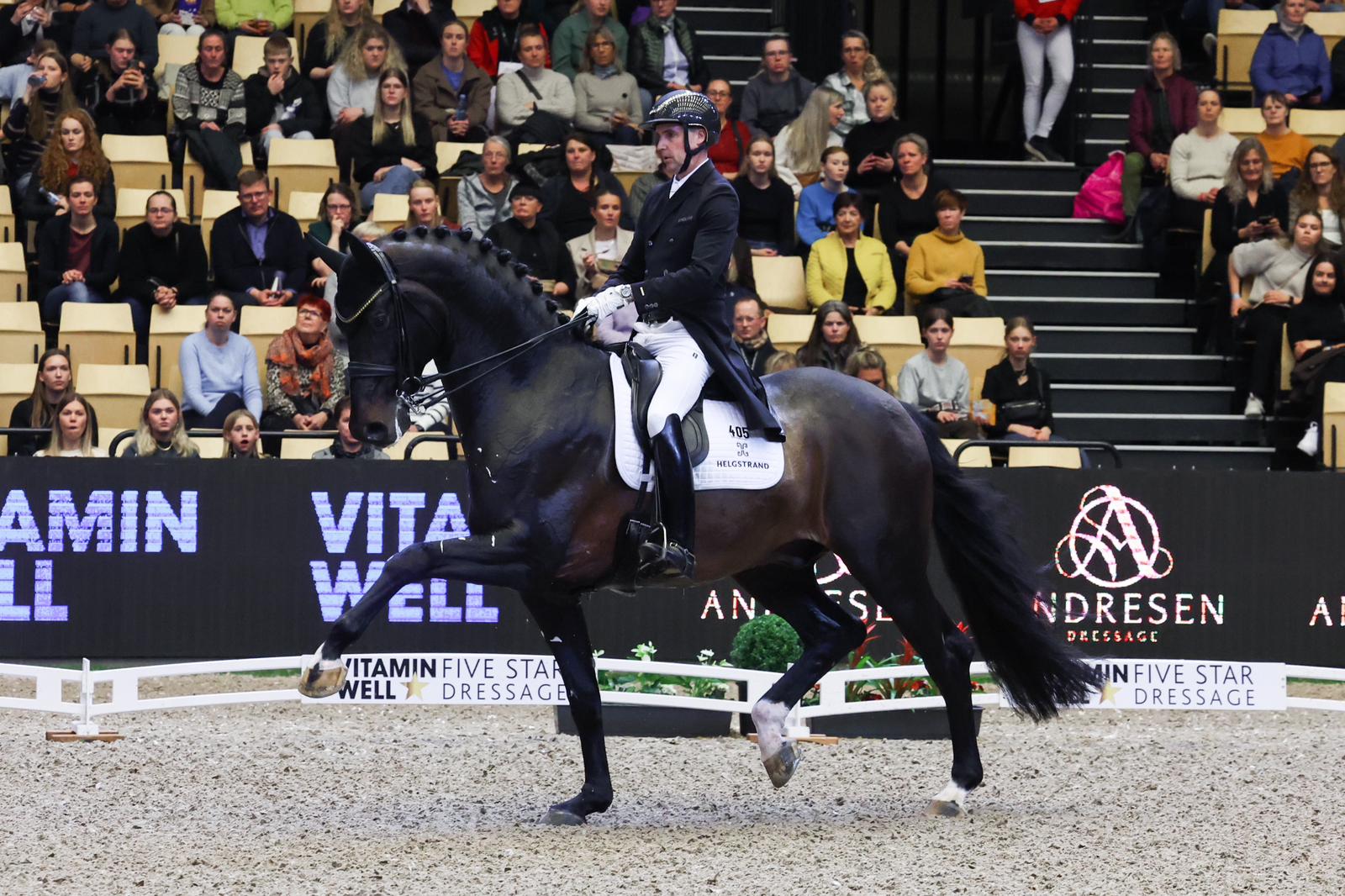 Helgstrand Dressage - Jovian
