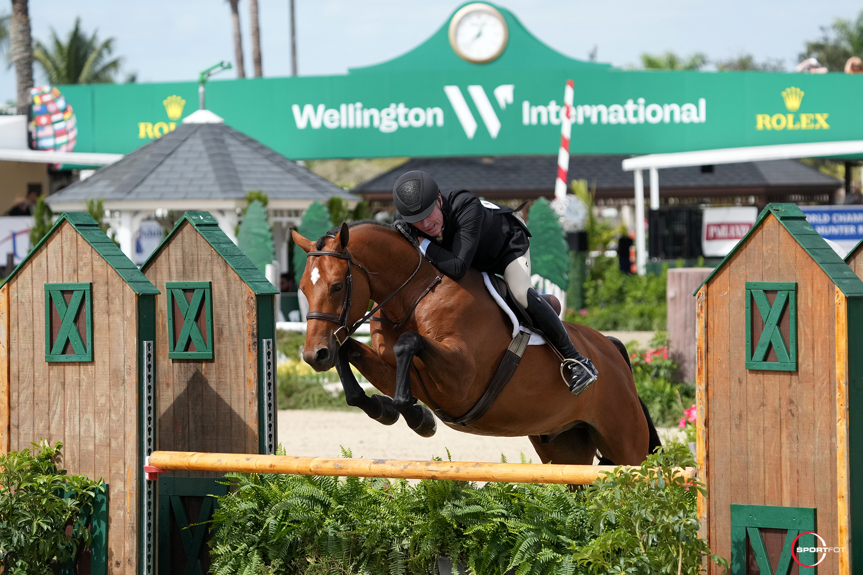 Hunters Take to International Ring During World Championship Hunter ...