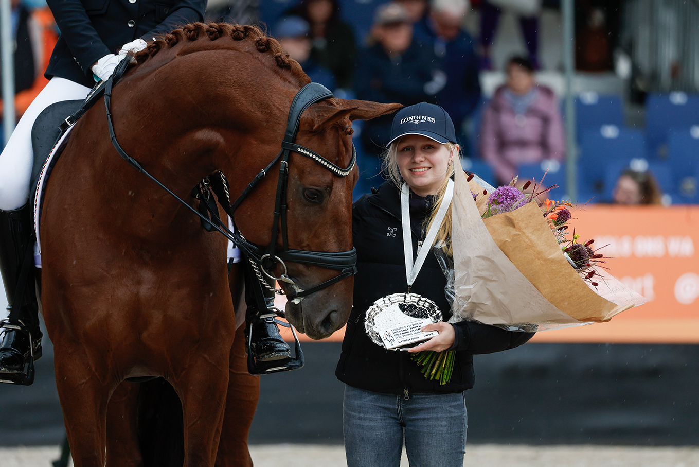 Helgstrand Germany | German breeding accosiation | Horses