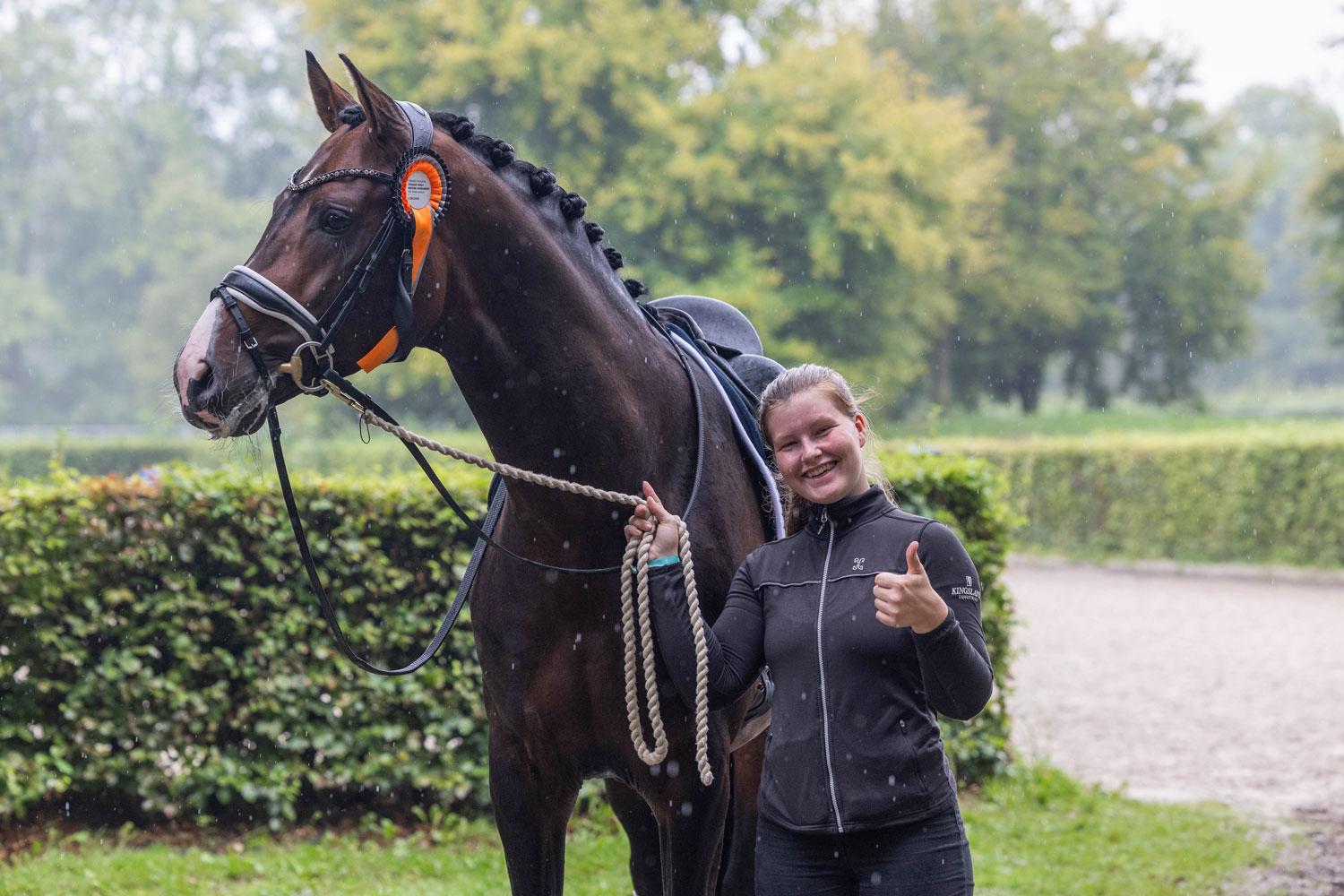 Elite dressage horses | Horses | Purchase of horses