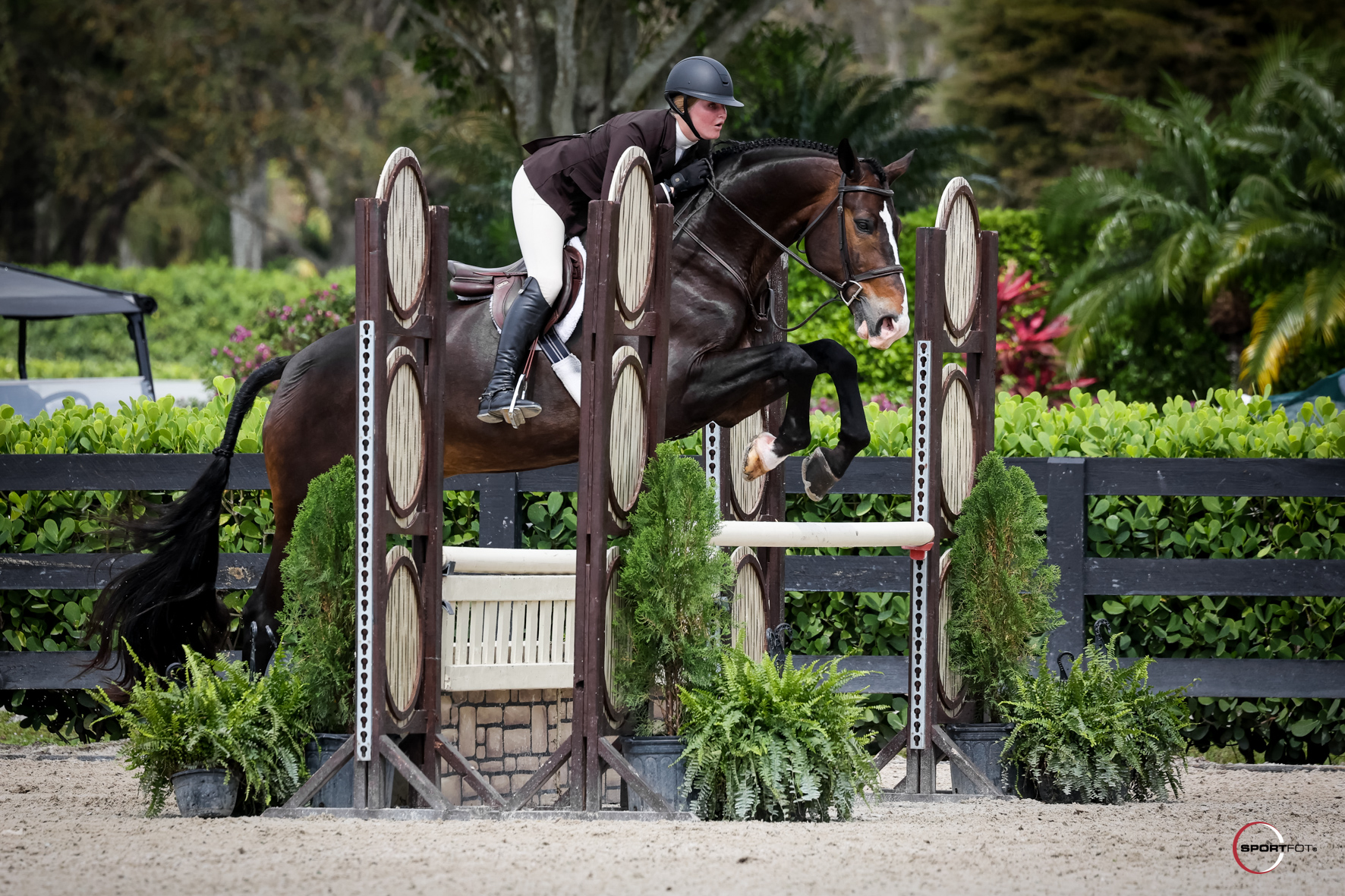 Ben Maher Leaves His Mark on CSIO Week at Wellington International