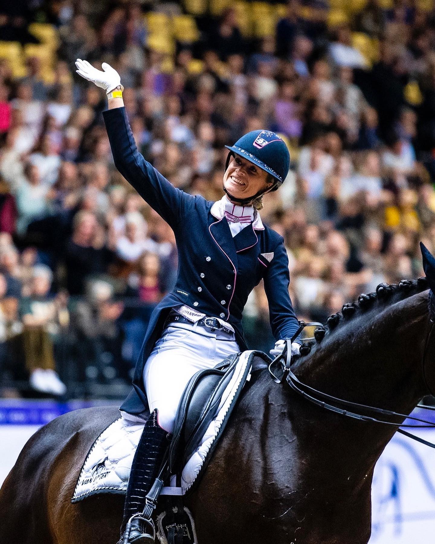 World Cup Herning - Program