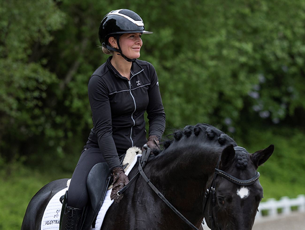 Helgstrand Germany | German breeding accosiation | Horses