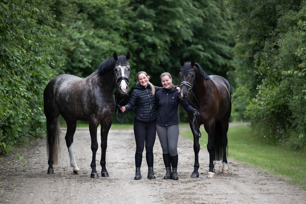 Elite dressage horses | Horses | Purchase of horses