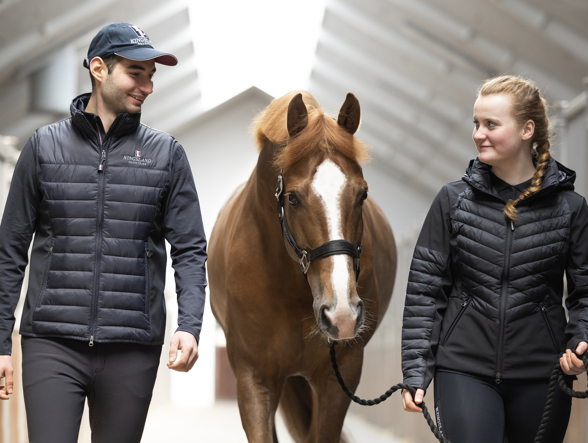 Elite dressage horses | Horses | Purchase of horses