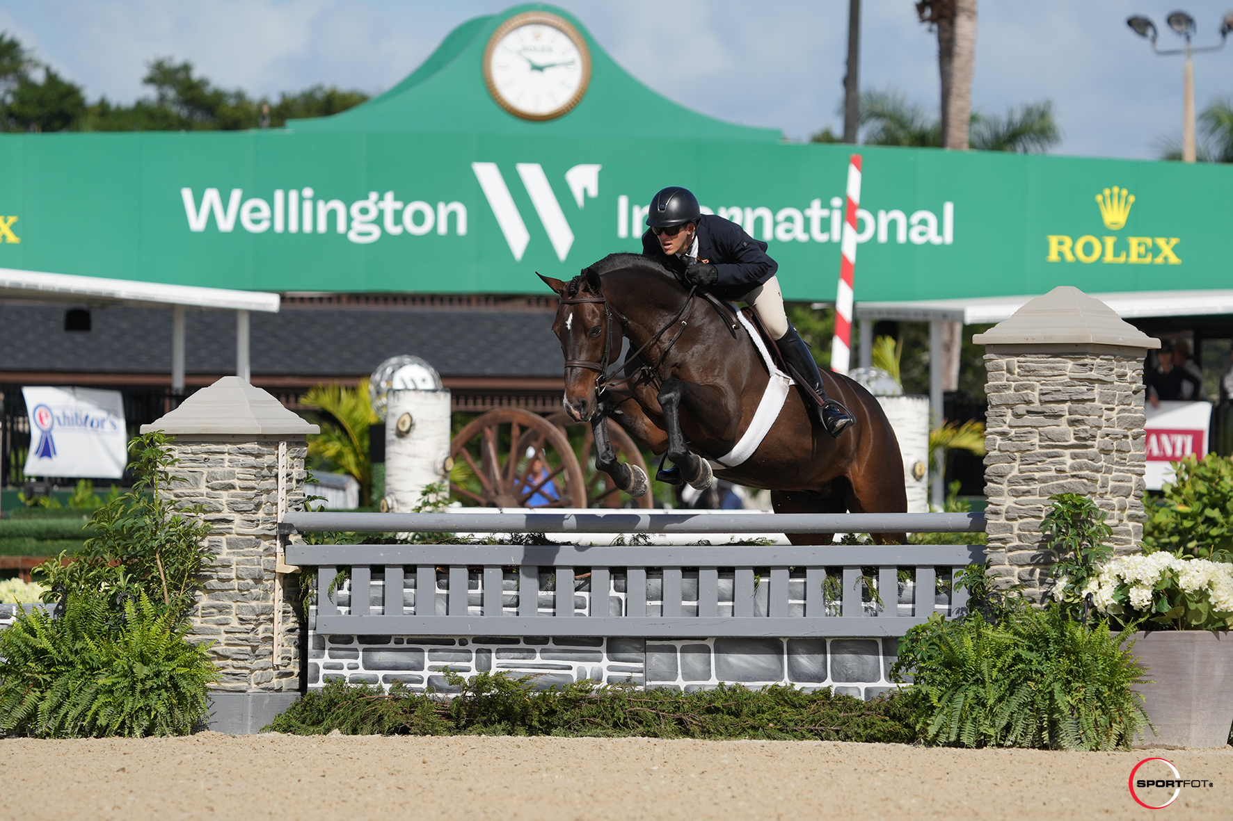 Hunters Take to International Ring During World Championship Hunter ...