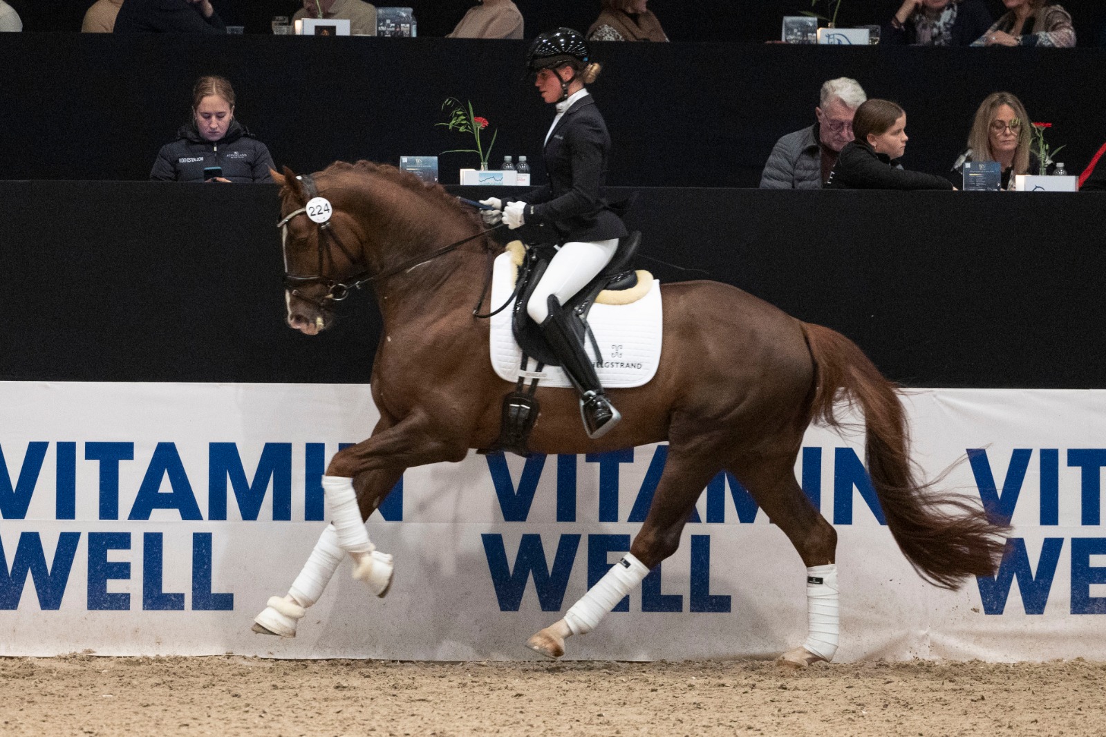 Danish Warmblood | Helgstrand Dressage | Horses