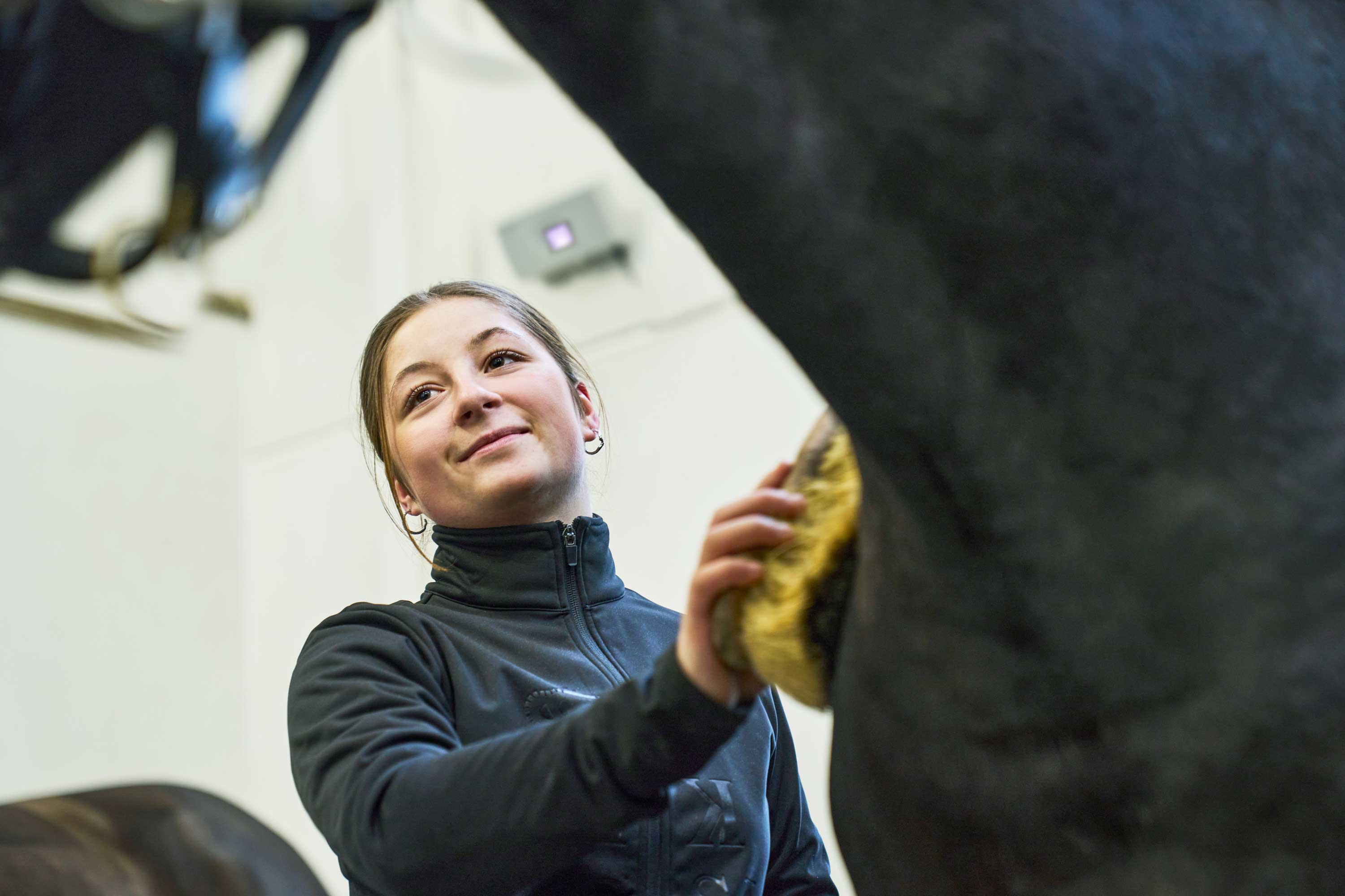 Global Equestrian Group | UV-Lamps | Horses | UV Equestrian