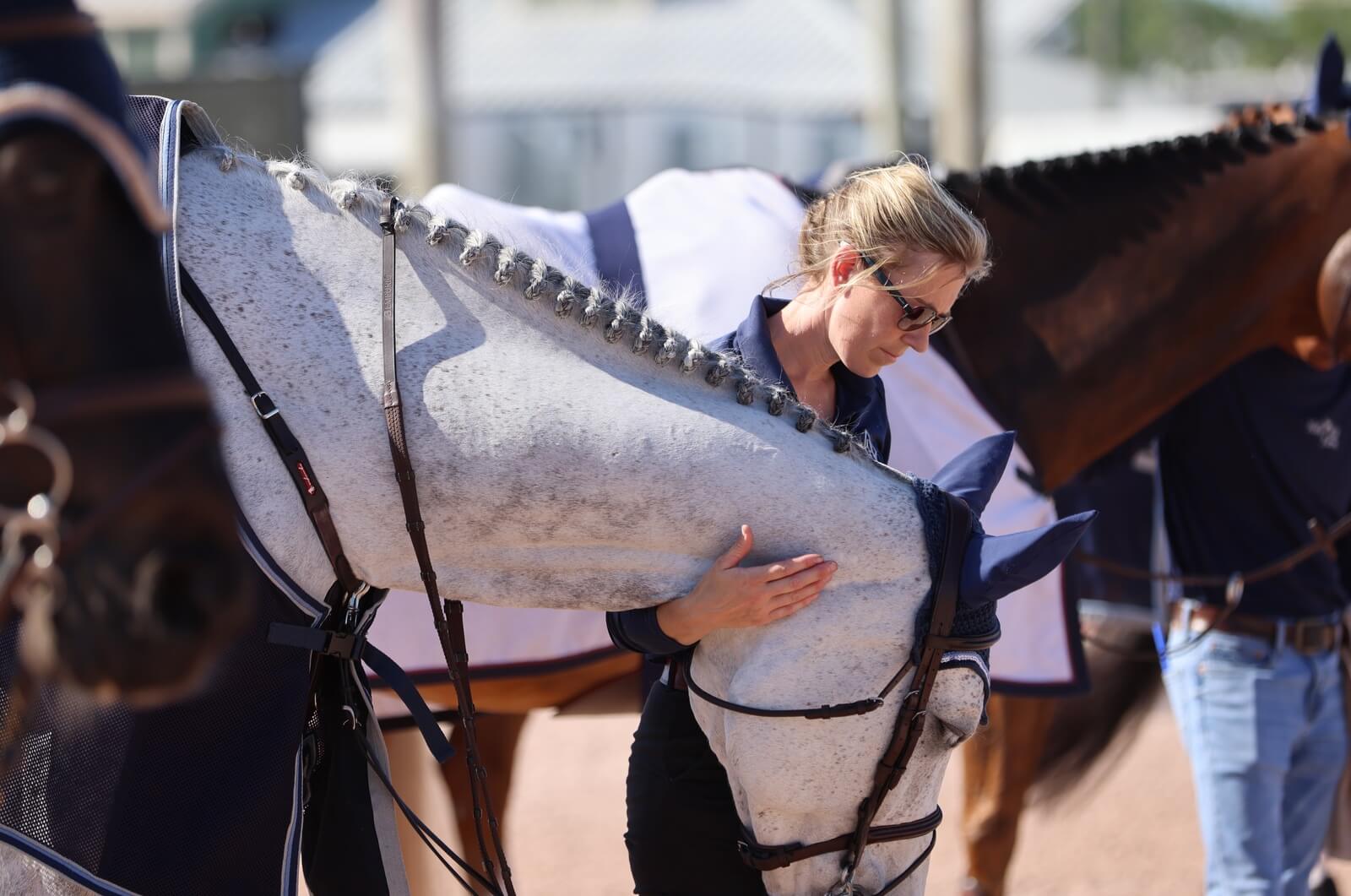 Horse Show 101 Horse Show 101