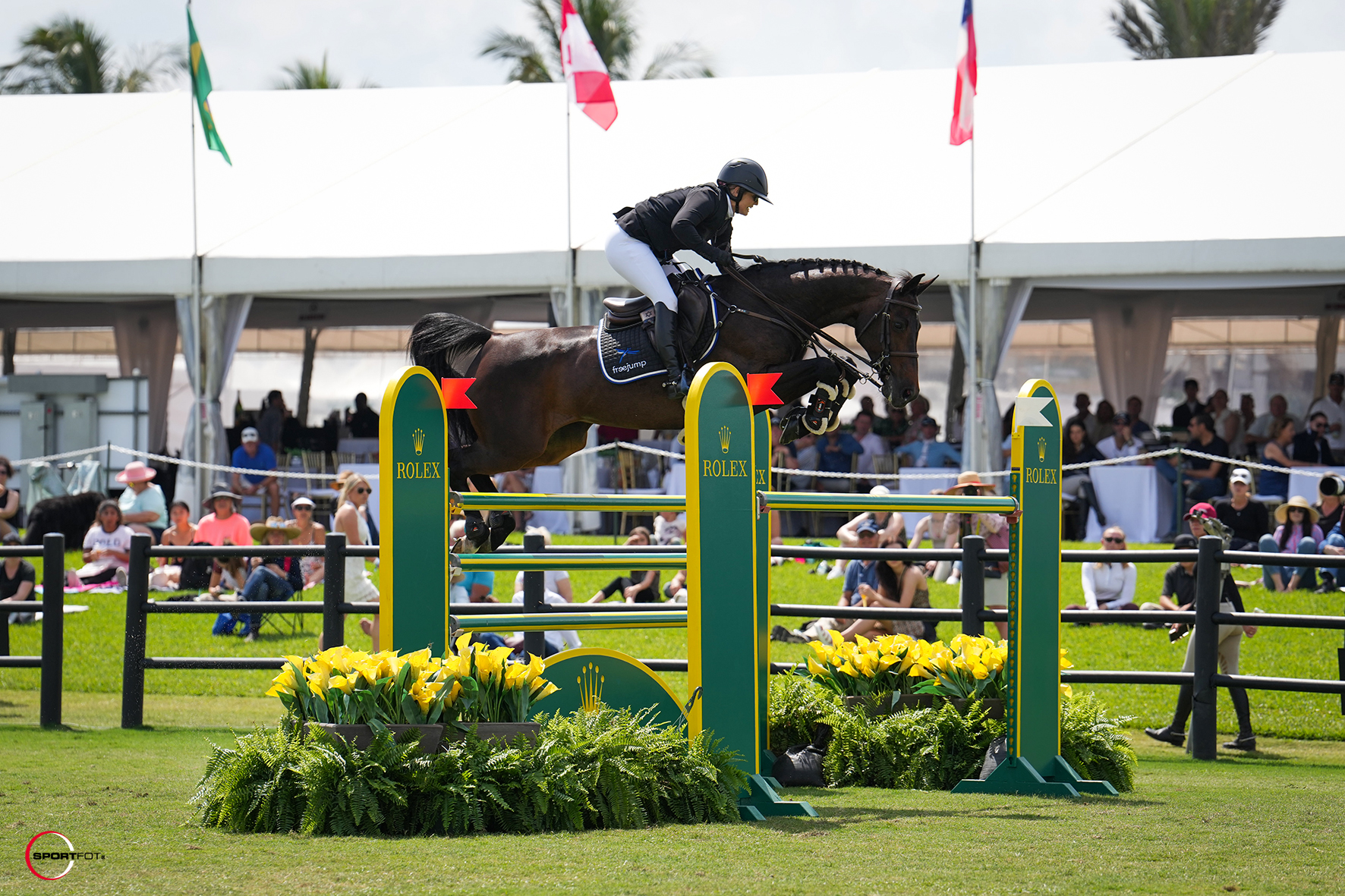 Why Visit Wellington International? A Premier Equestrian Destination