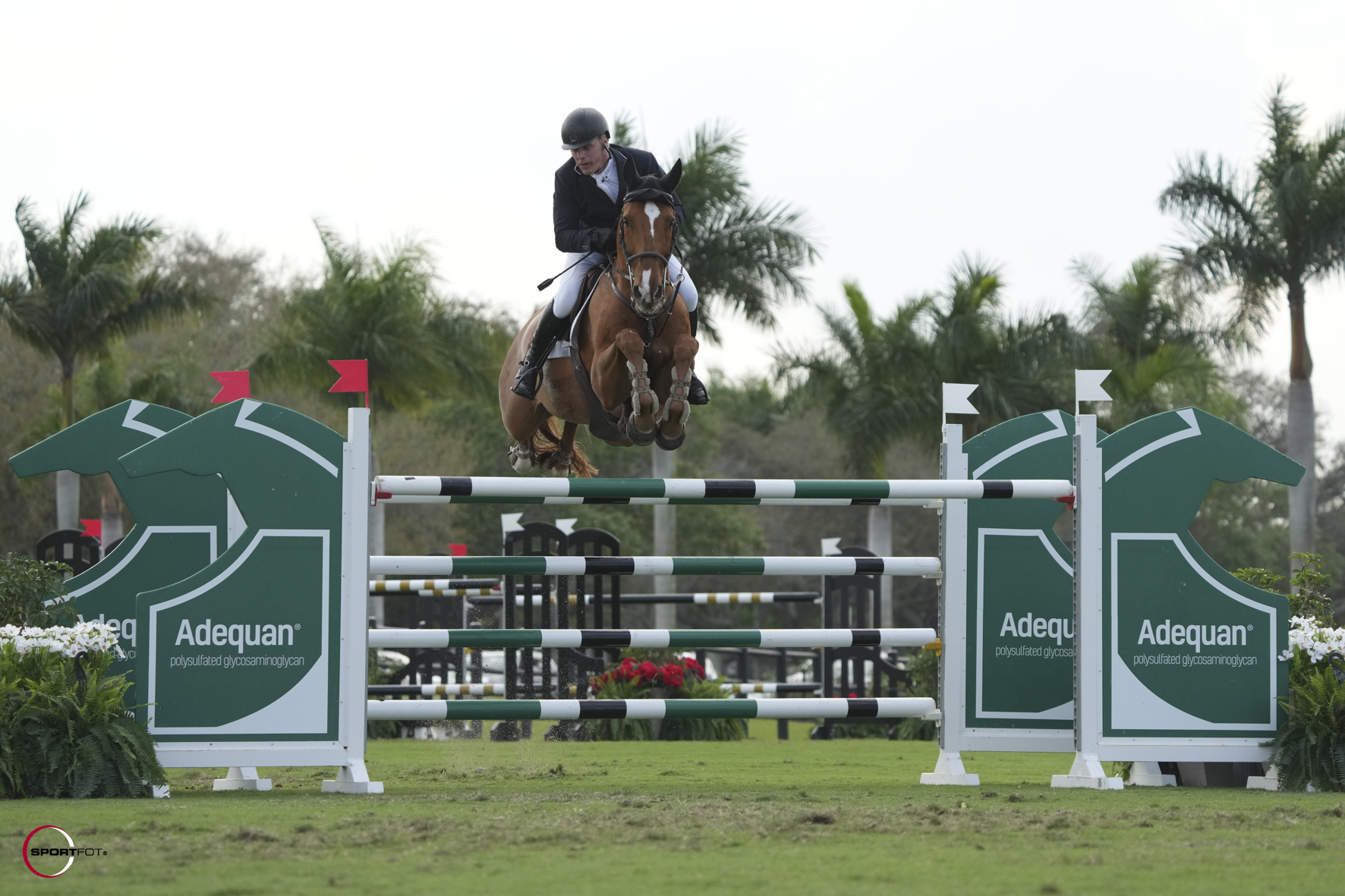 Hunters Take to International Ring During World Championship Hunter ...