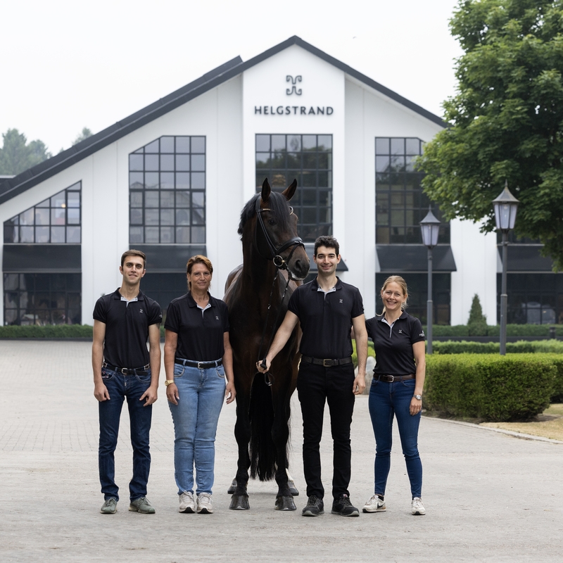 About Helgstrand Stallions