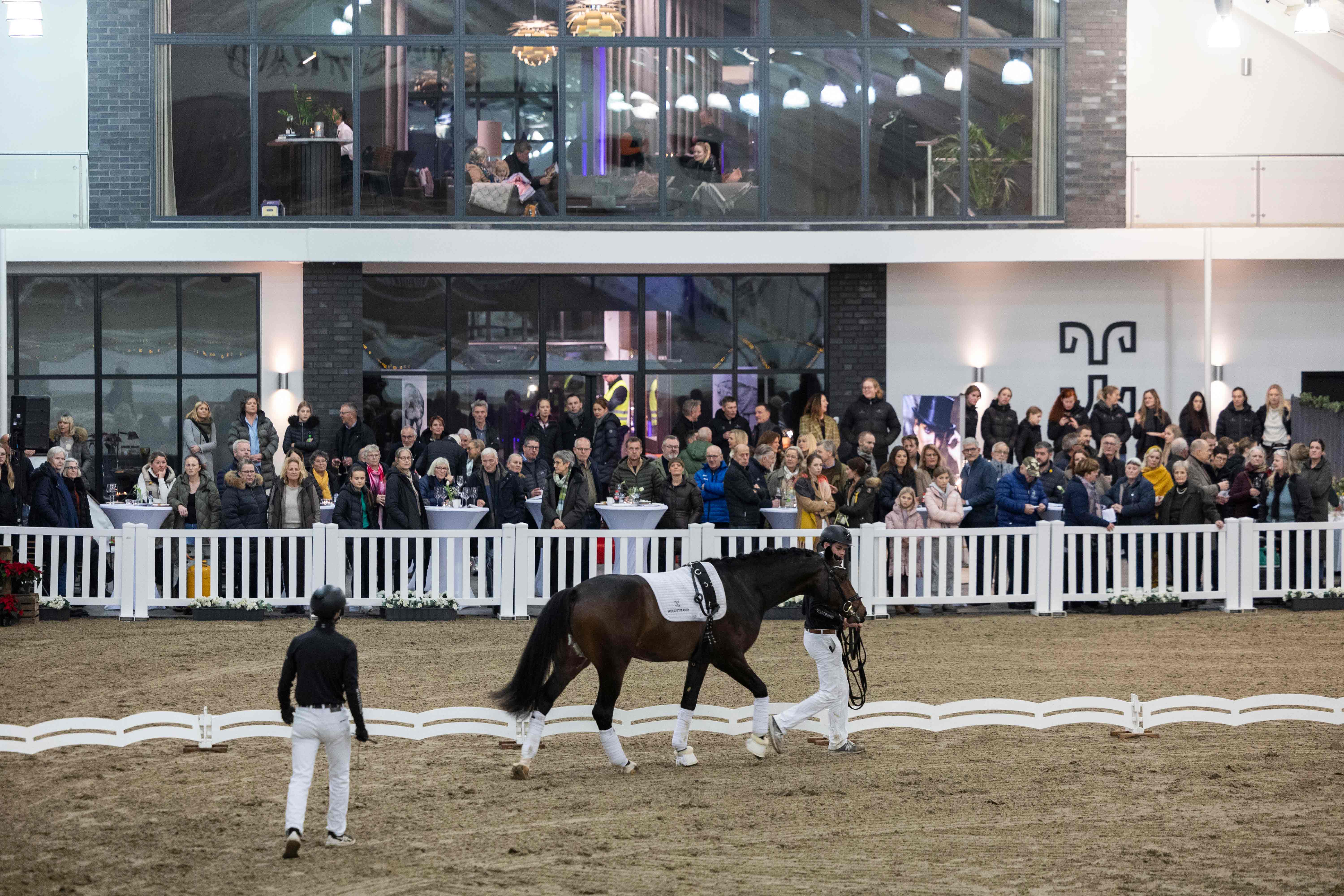 Helgstrand Dressage - Christmas show at Helgstrand Dressage